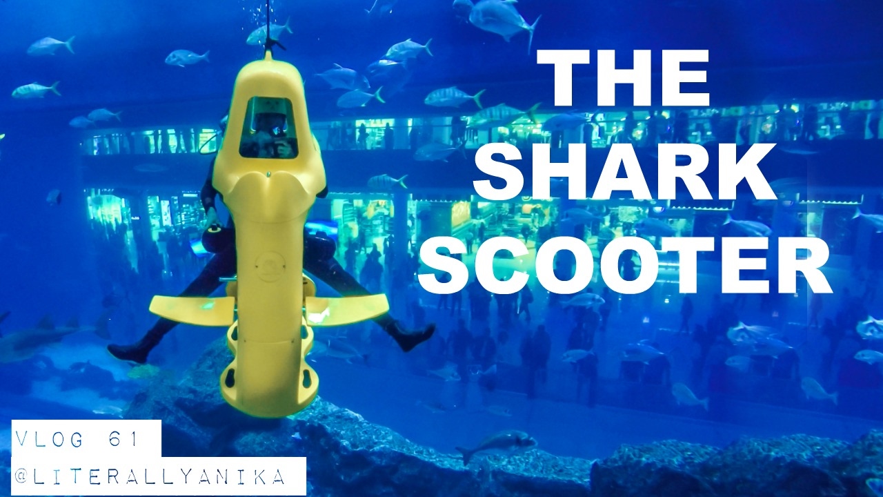 CRAZY SHARK SCOOTER DUBAI AQUARIUM - YouTube