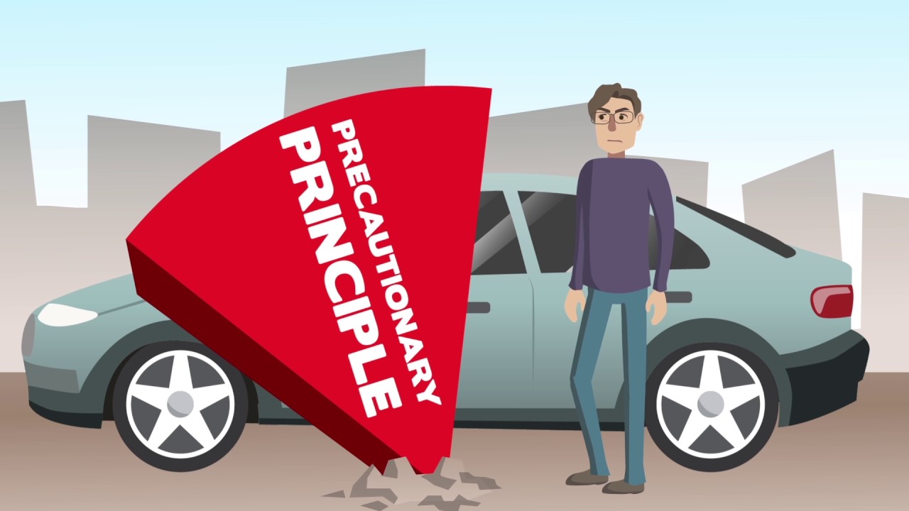 Precautionary Principle Cartoon