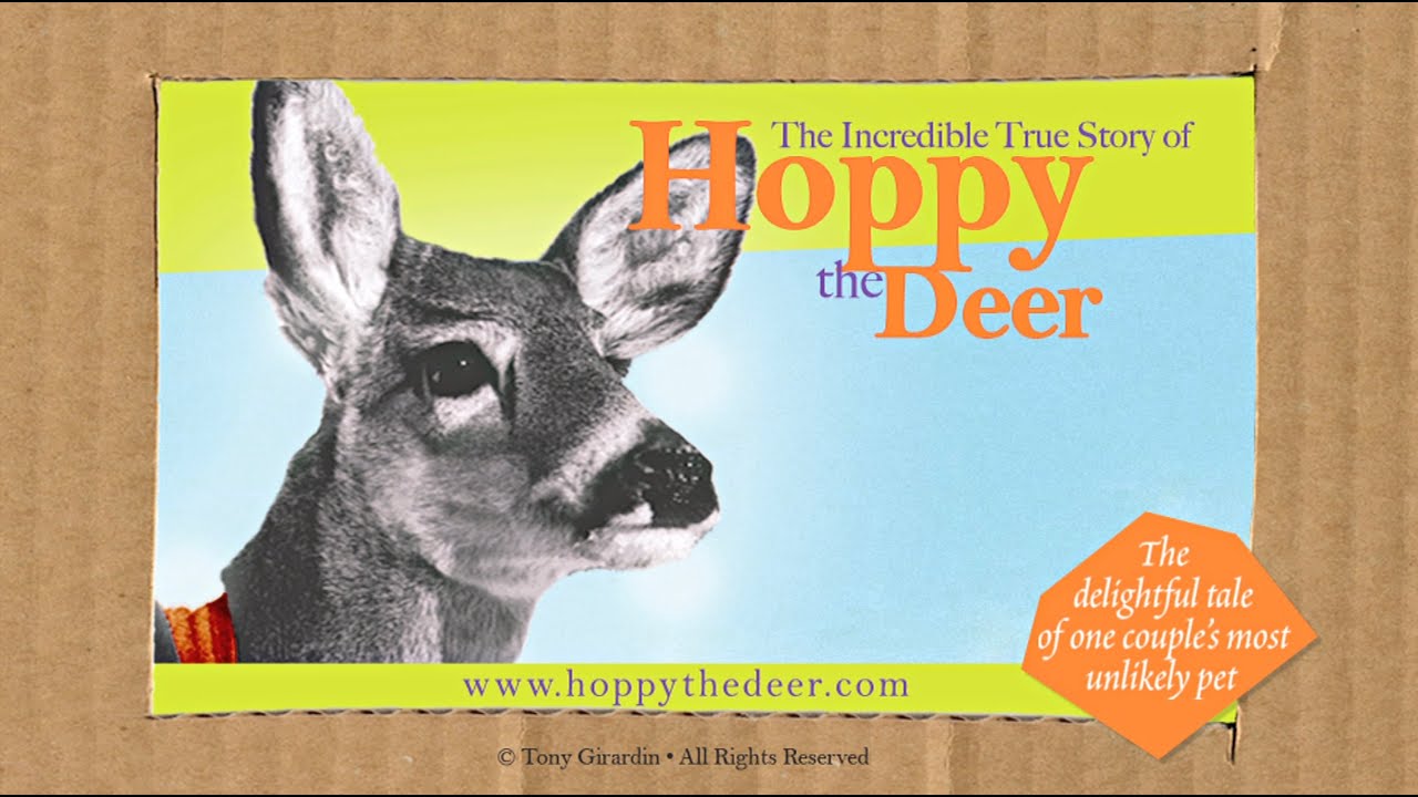 Hoppy the Deer (FULL MOVIE) - YouTube