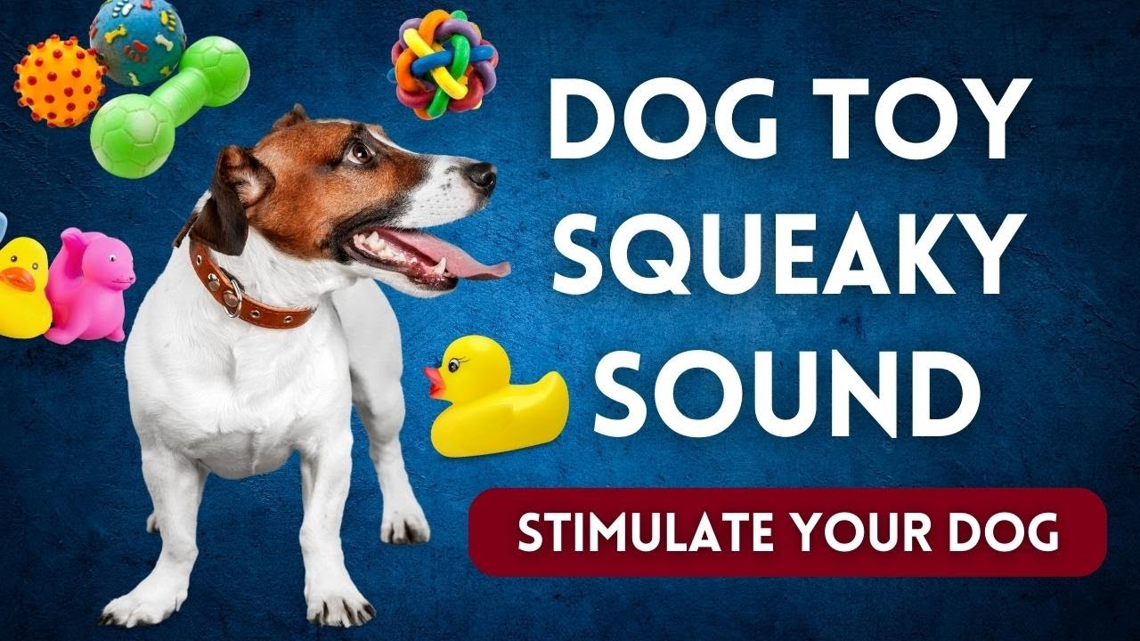 Dog Toy Squeaky Sound 🧸 Stimulate Your Dog 🐕 - YouTube