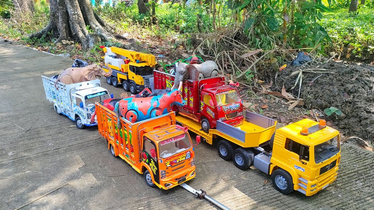 Truk Oleng Muat Sapi Terguling Naik Mobil Tronton Trailer - YouTube