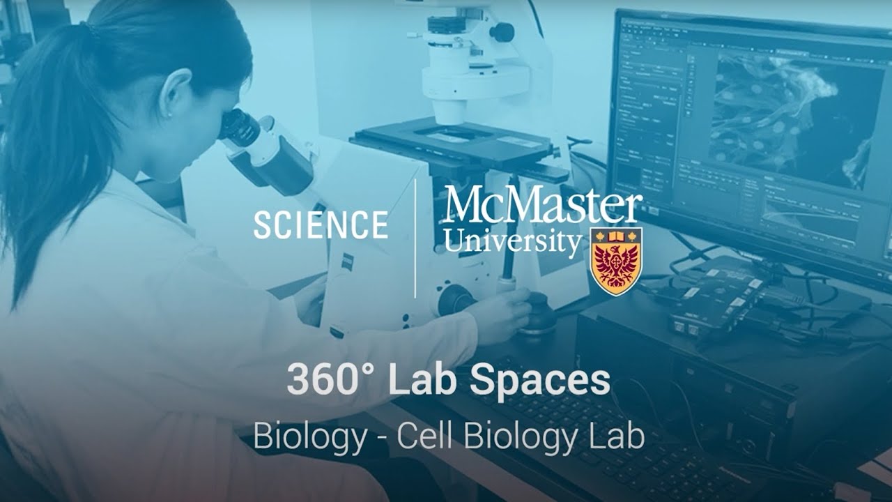 Virtual 360 Video - Department of Biology – Cell Biology Laboratory ...