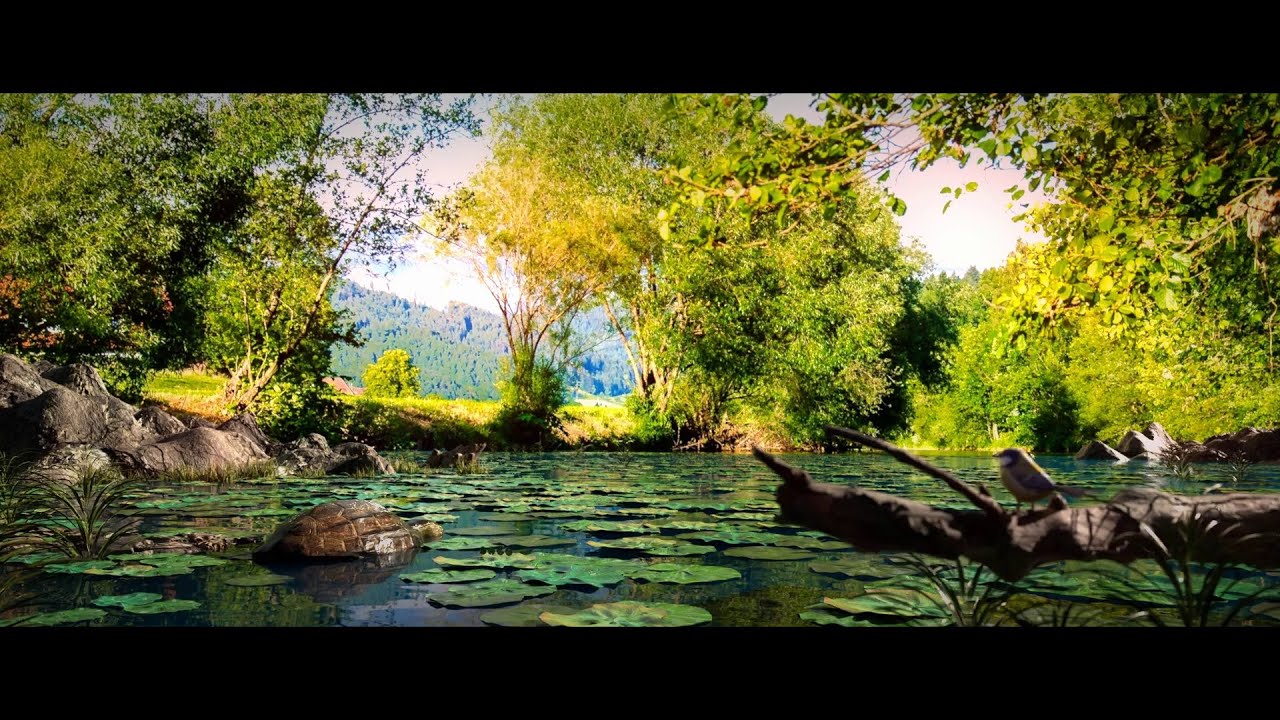 CGI Scene | Day at the lake - YouTube