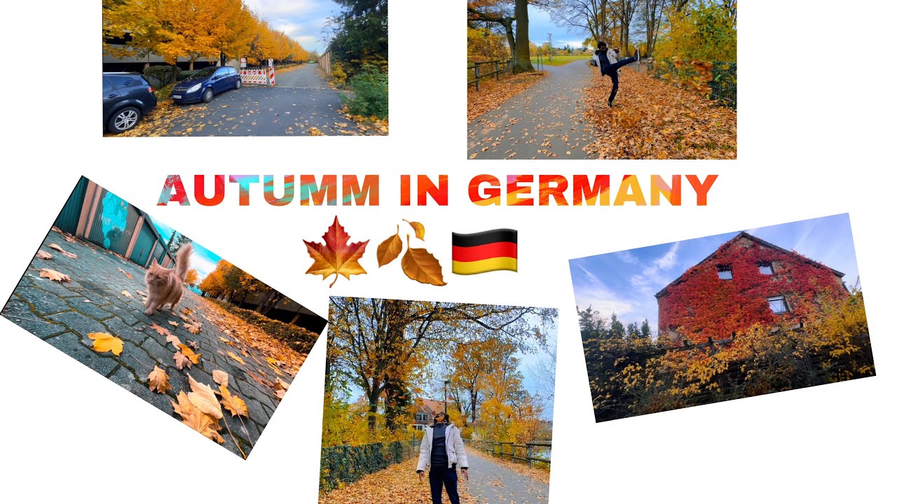 Autumn|Fall in Germany 🍁🍂.Bangladeshi student in Germany 🇩🇪🇧🇩 - YouTube
