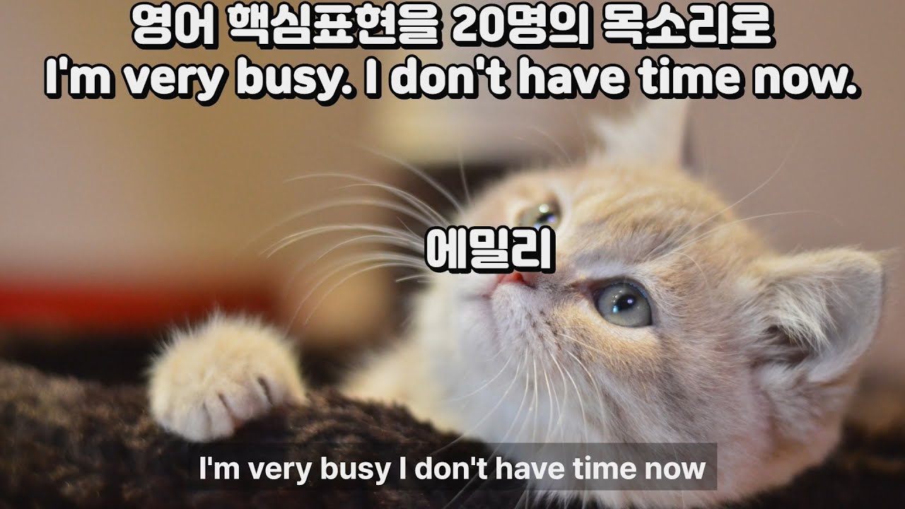 I'm very busy I don't have time now 영어 스피치 연습을 위한 유용한 영어 표현 총정리 - YouTube