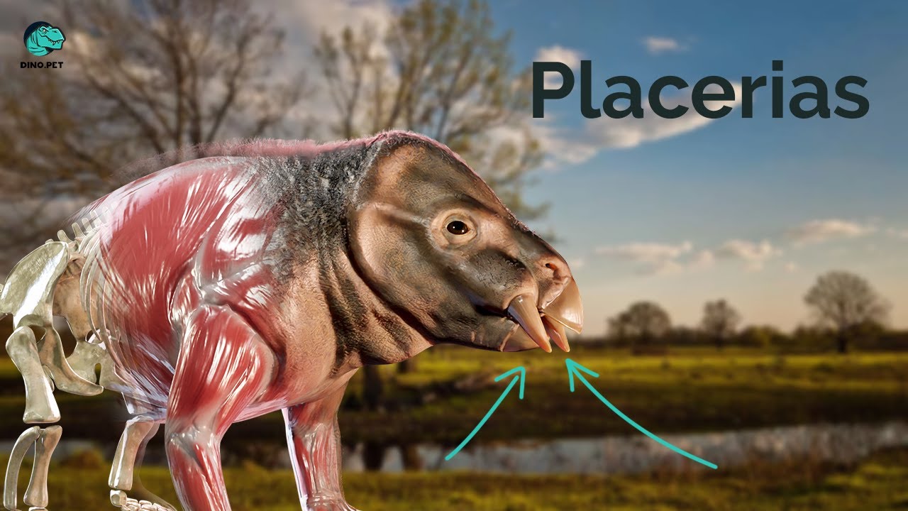 Meet the Placerias from Late Triassic - YouTube