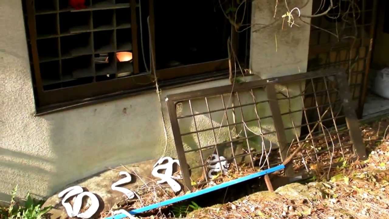 Koga Family Land, Souvenir Shop - 甲賀ファミリーランド 廃墟 - YouTube