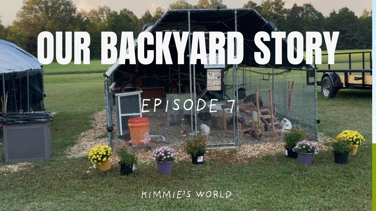 OUR BACKYARD STORY: EPISODE 7 - YouTube