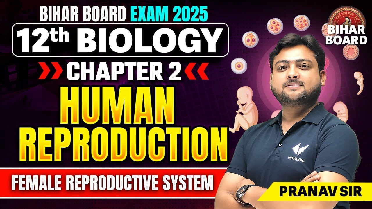 Class 12th Biology Chapter 2 Female Reproductive System Bihar Board ...