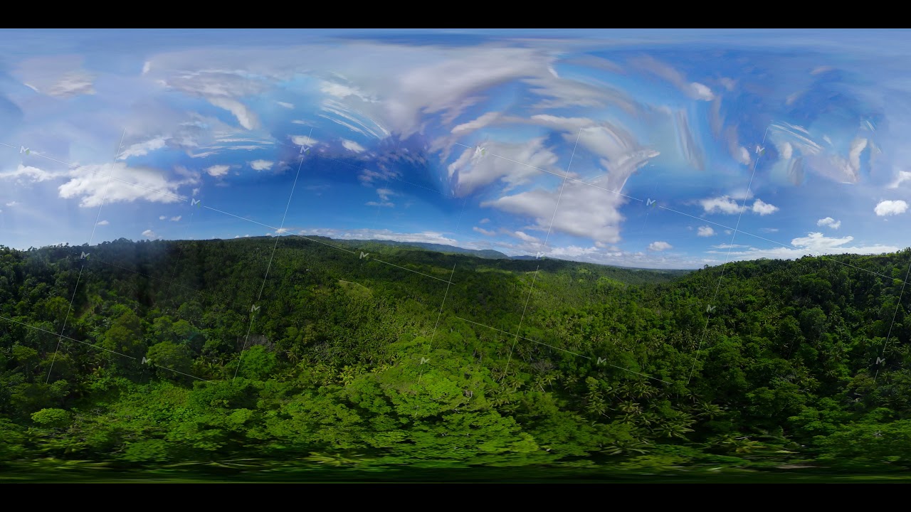 Rainforest in the Philippines. 360-Degree view. - YouTube