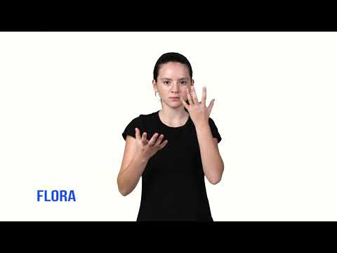 Jest Dili - Dünya görüşü