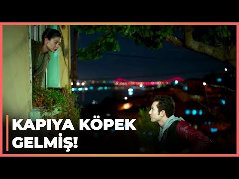 Yağmur, Can'ı Kötü Yakaladı! - Güneşi Beklerken 37. Bölüm