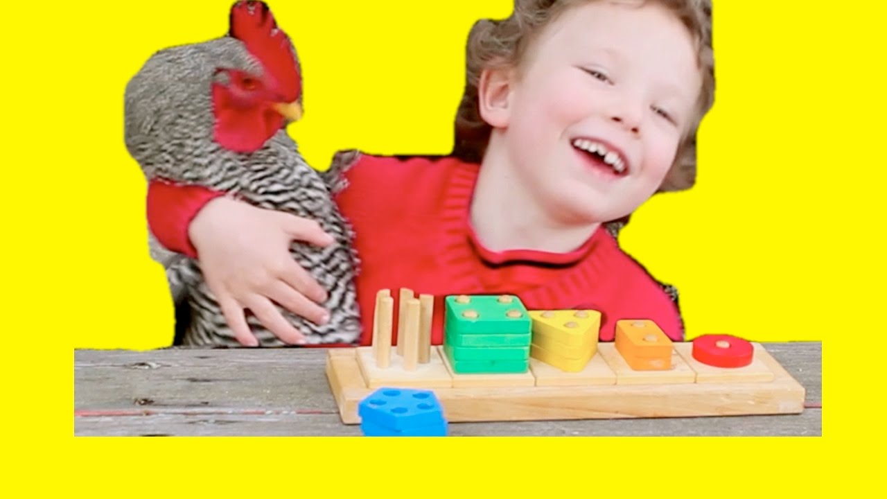 Learn to Count Numbers! Kids Teach a Chicken How to Count Numbers from ...