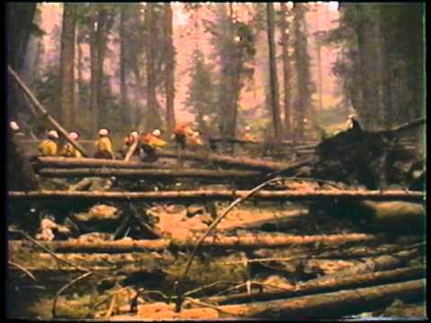 Fire Warriors. Chief Mountain Hot Shots. Directed by Darren Kipp - YouTube