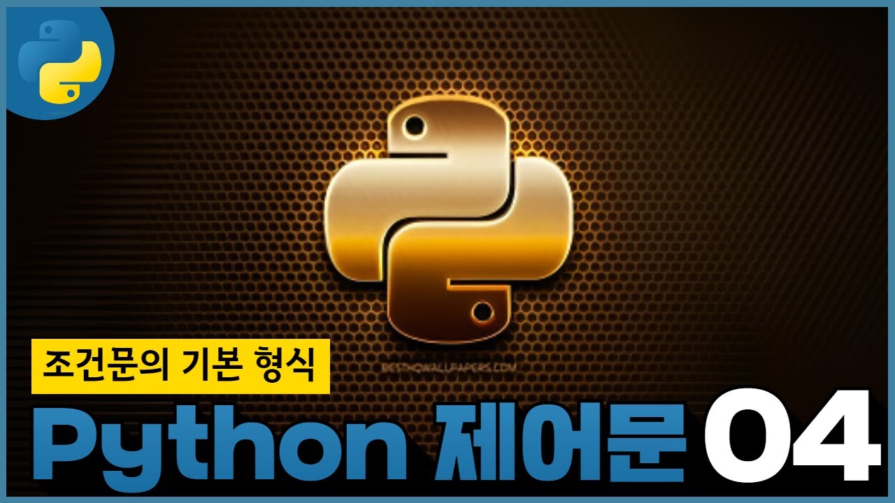 04 Python 제어문 4 1 조건문의 기본 형식 Youtube