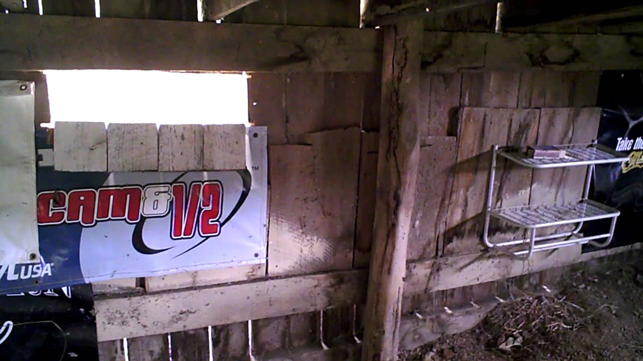 Inside the shooting shack (hog blind) - YouTube