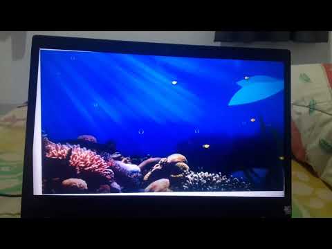 scuba dots episode 18 seal - YouTube