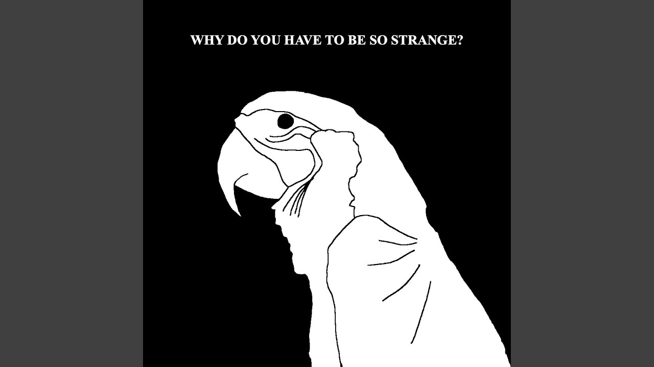 Why Do You Have To Be So Strange YouTube why-do-you-have-to-be-so-strange-youtube