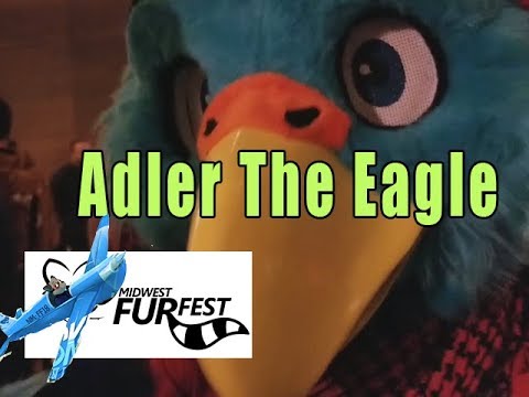 Meeting Adler The Eagle - YouTube