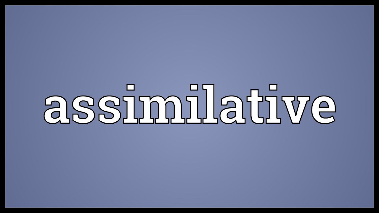 Assimilative Meaning - YouTube