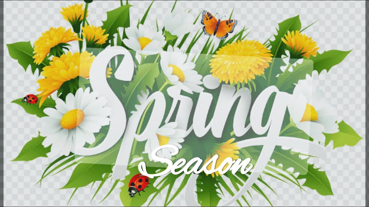 10 lines about Spring Season | easy essay | Izzat writing world ️ # ...