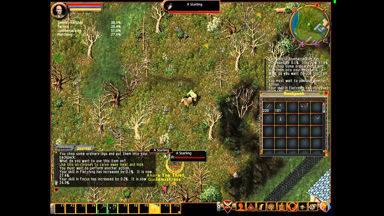 Ultima Online new player gold guide - YouTube
