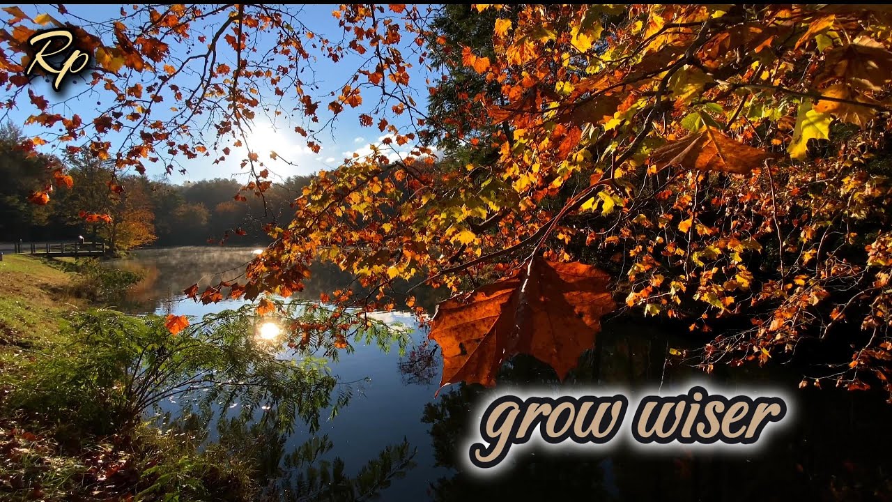 grow wiser - YouTube