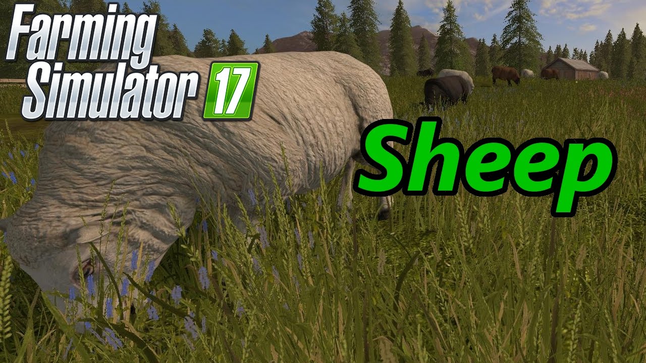 Farming Simulator 17 Tutorial | Sheep - YouTube