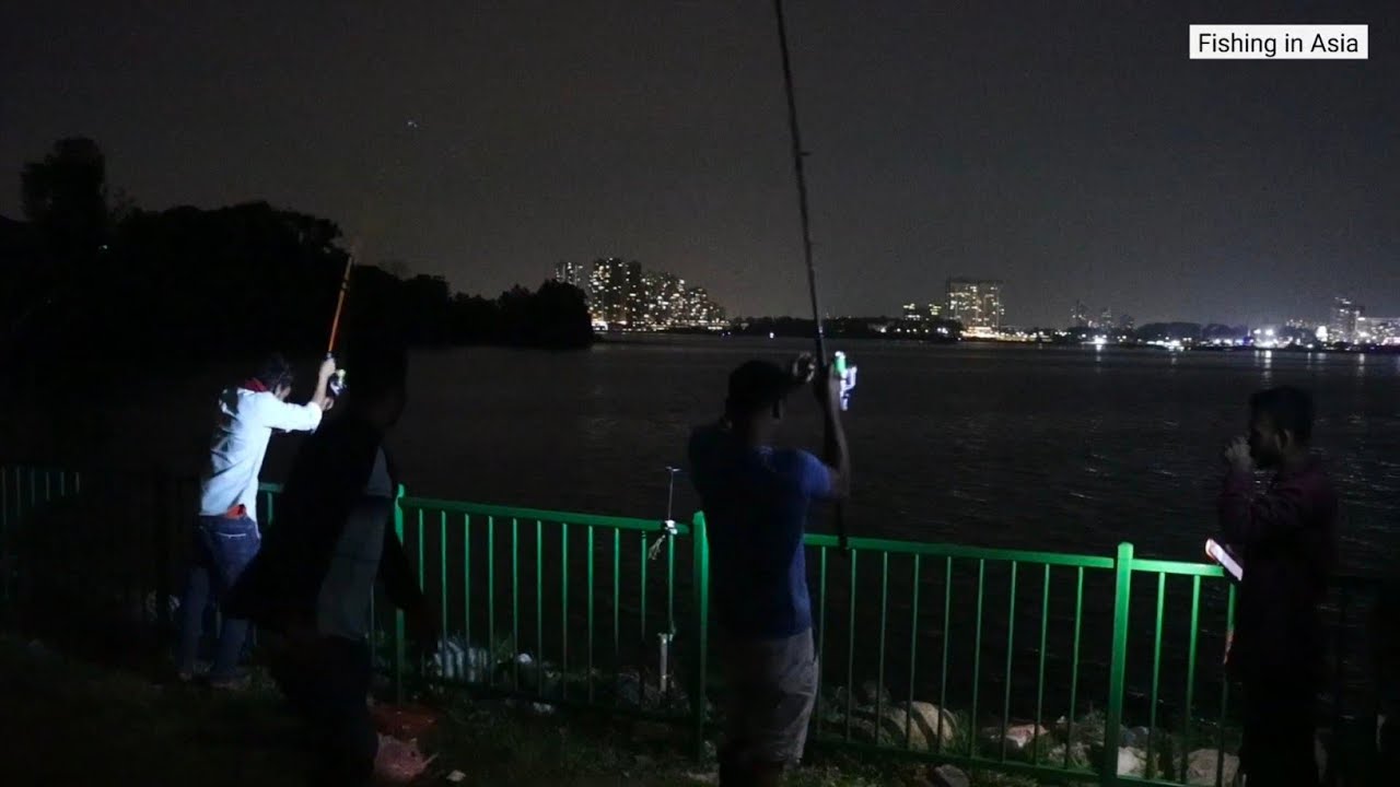 Midnight fishing Singapore - YouTube