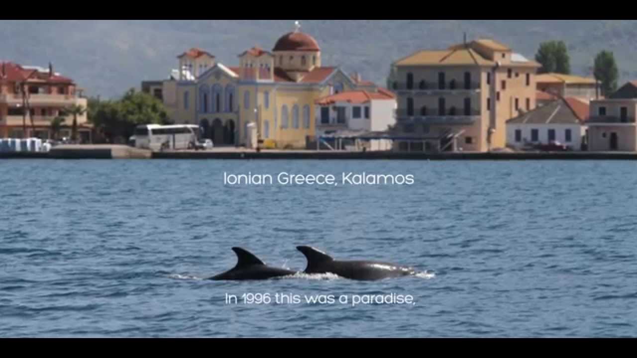 UAE dolphin project - YouTube