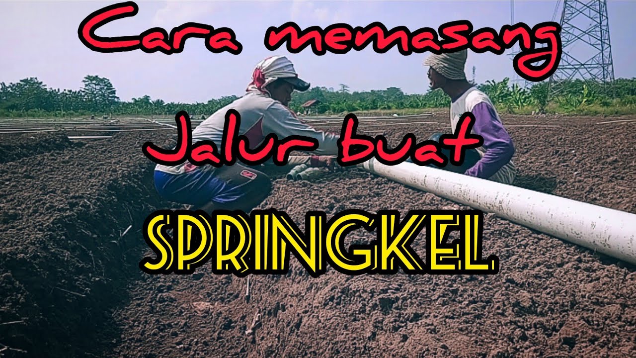 Pemasangan Jalur Buat Pasang Springkel.. - YouTube