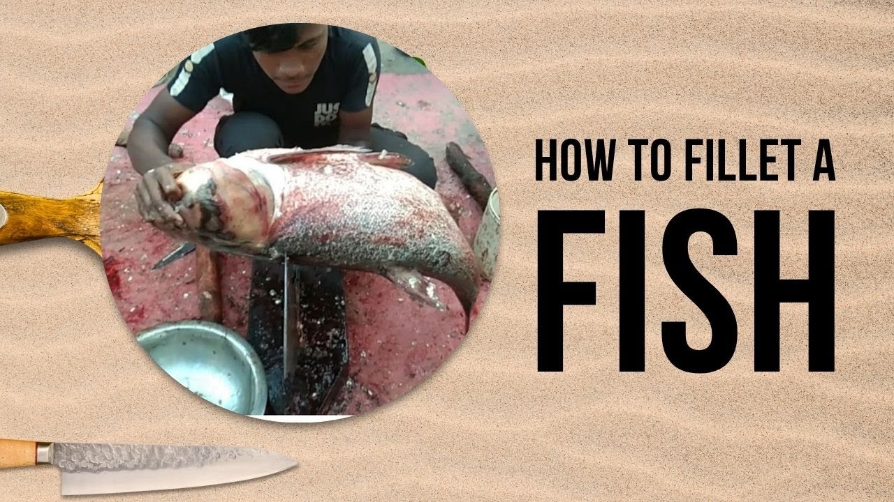 Excellent cutting skills Big Briket fish cutting skills expert - YouTube