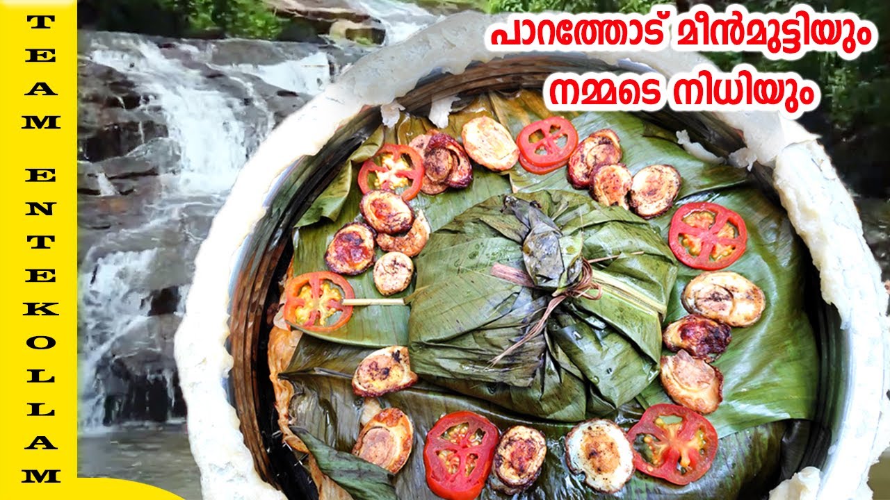 പാറത്തോട് മീന്മുട്ടിയിൽപോയ് നല്ല നിധി കഴിച്ചാലൊ.. | Parathodu Falls ...