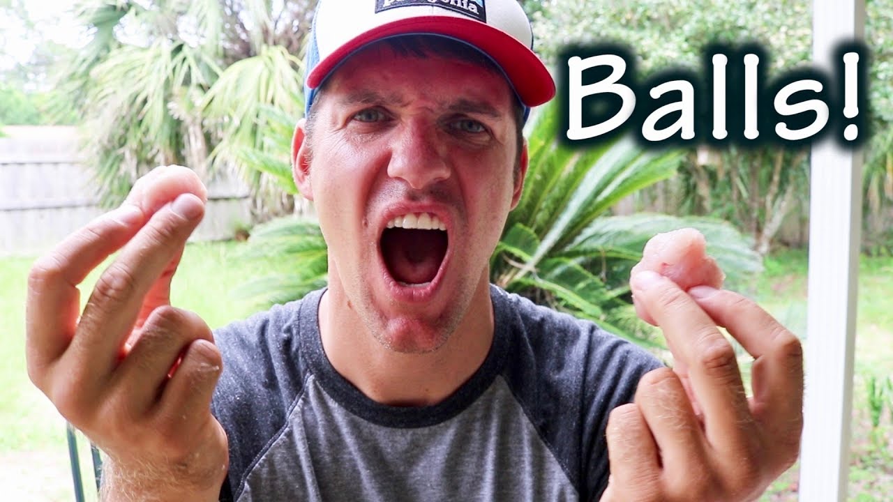 Catch and Cook Mackerel Balls? - YouTube