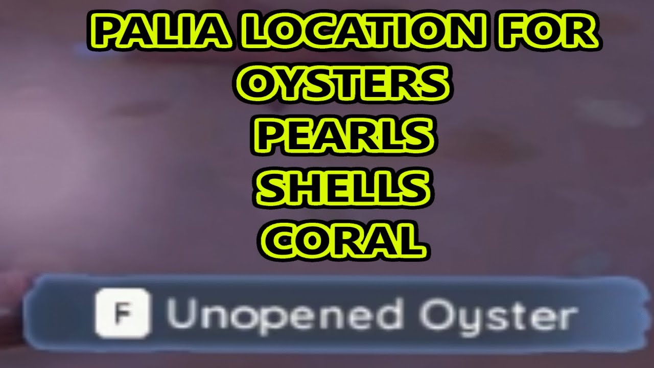 Palia Oysters - Palia Shells - Palia Coral - Palia Pearls - YouTube
