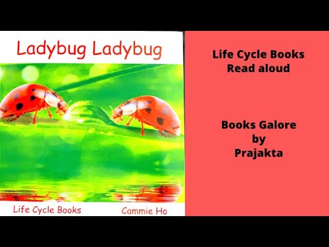 Ladybug Ladybug 🐞 ( Life cycle books by Cammie Ho) - YouTube
