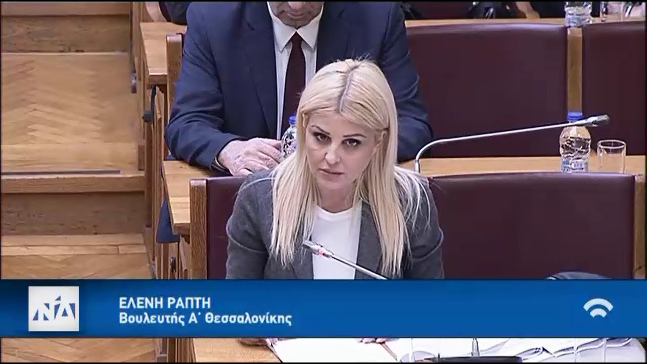 Εισήγηση Έλενας Ράπτη στην Διαρκή Επιτροπή Παραγωγής και Εμπορίου - 12. ...