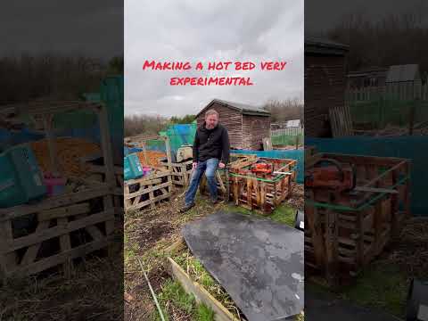 Hot bed veggie bed #allotment #allotmentlife #gardening #horticulture #hotbed #hotcompost