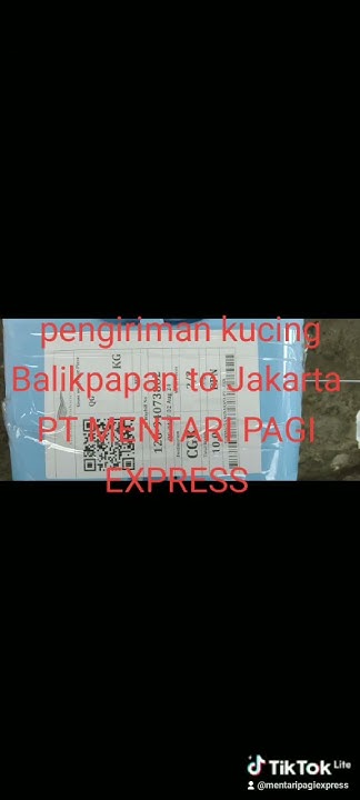 2 Agustus 2024 - YouTube