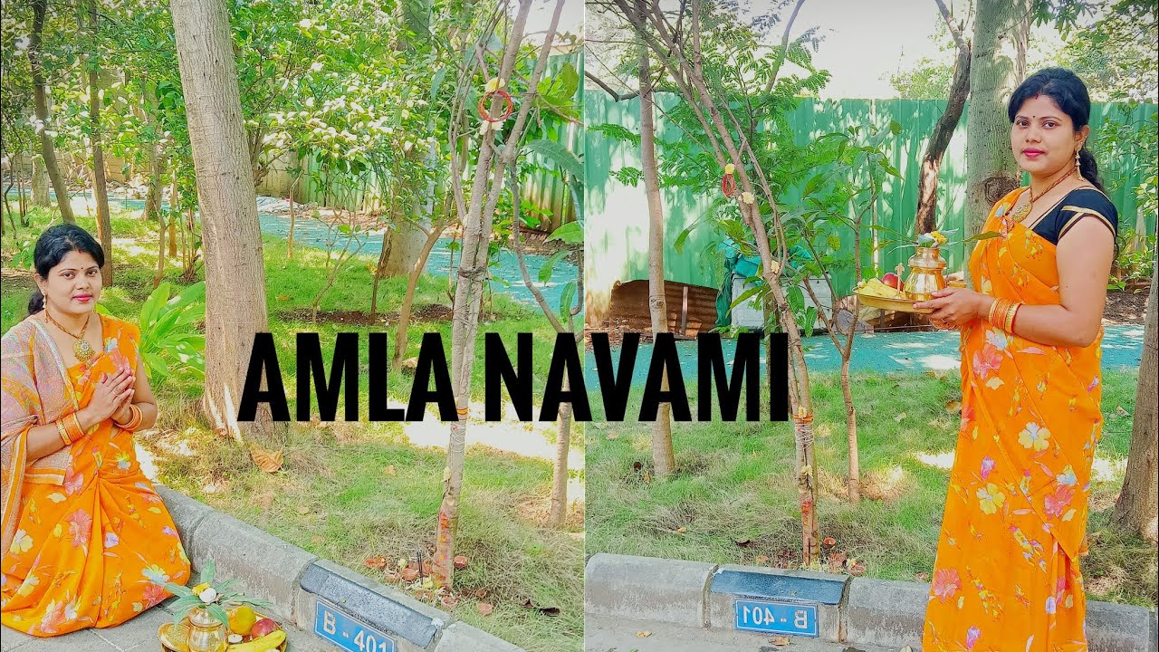 Happy Amla Navami (Amla Navami - 2022)🪴🌺🌺🙏🌺🌺 - YouTube