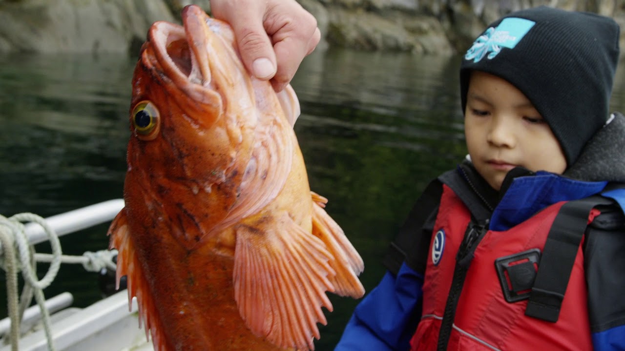 Rebuilding depleted fisheries: why it matters for coastal communities ...