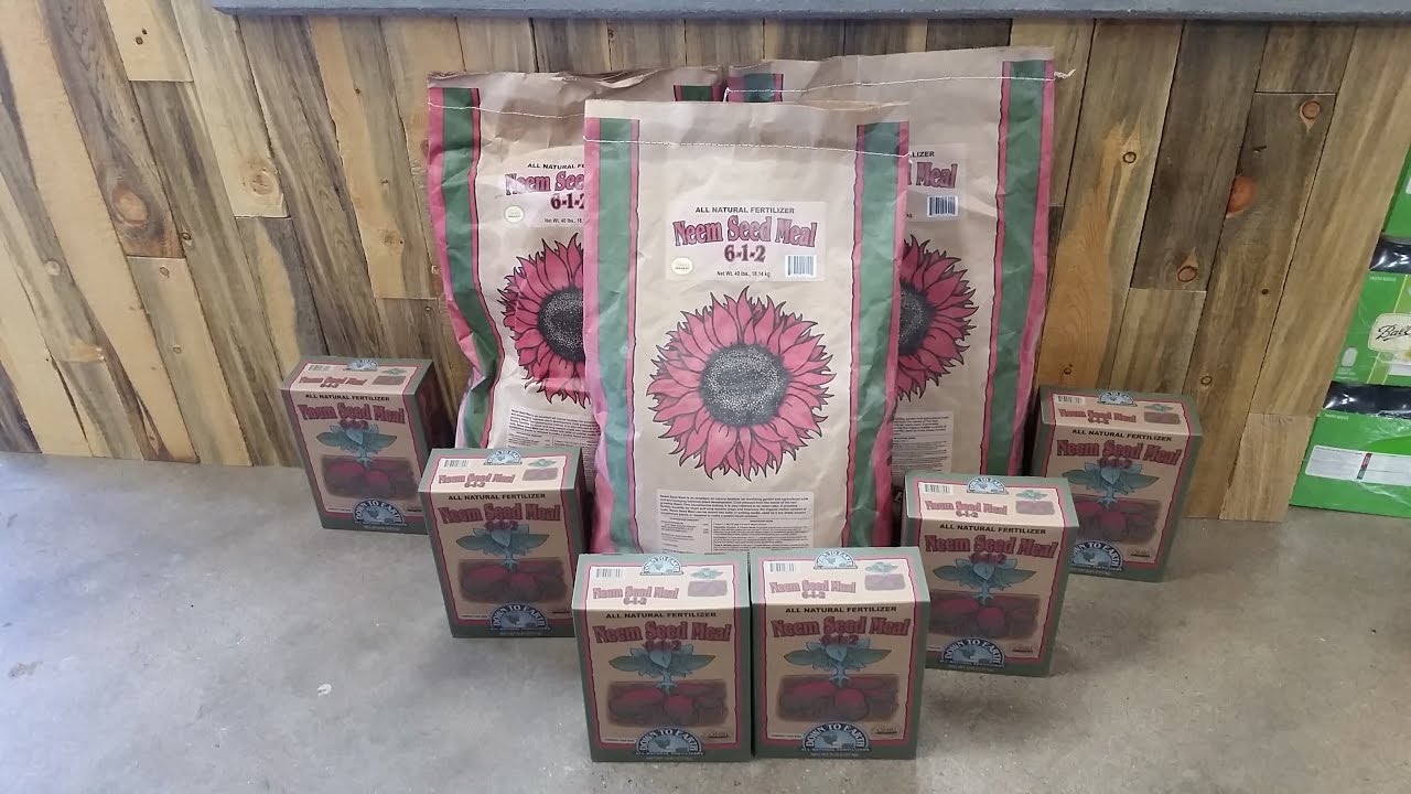 What is Neem Seed Meal? - YouTube