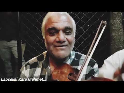 Kara Mehmet (yuvasız kuşlar)