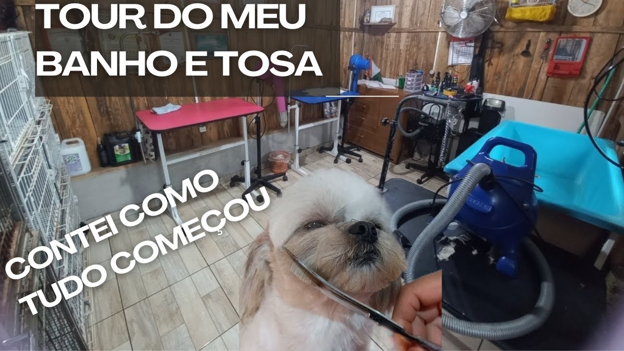 Tour pelo meu banho e tosa em casa contei tudo como consegui.Minha ...