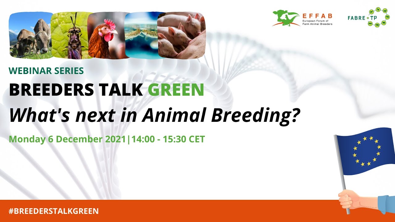 #BREEDERS TALK GREEN - What's next in Animal Breeding? - YouTube