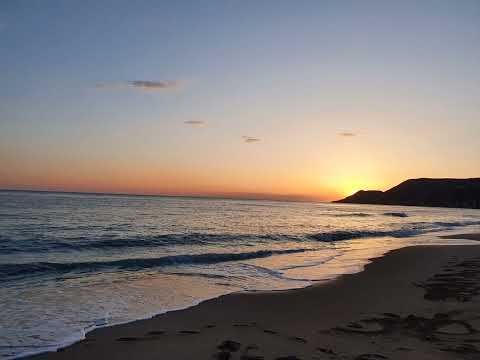 Seni dağladılar değil mi kalbim - NFK