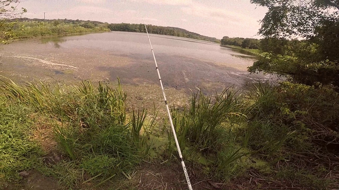 Lake Redman / School in Session (Ep73) Bass Fishing - YouTube