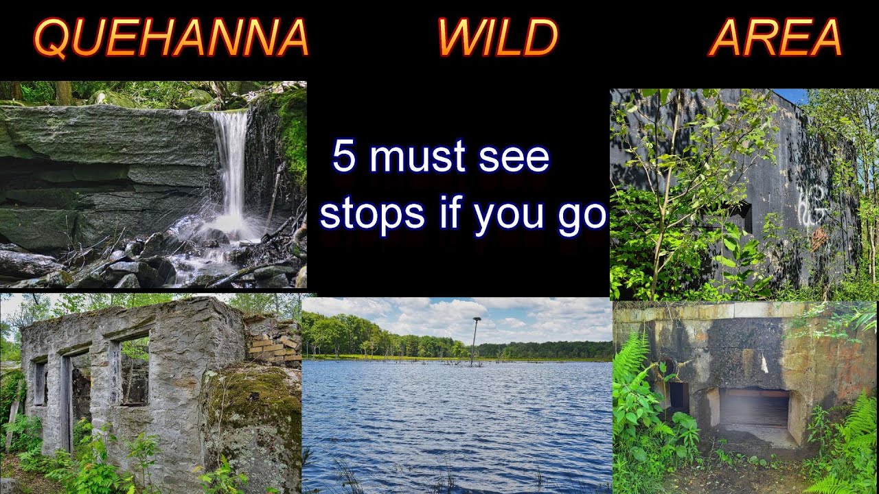 Quehanna Wild Area 5 Must See Stops While There - YouTube