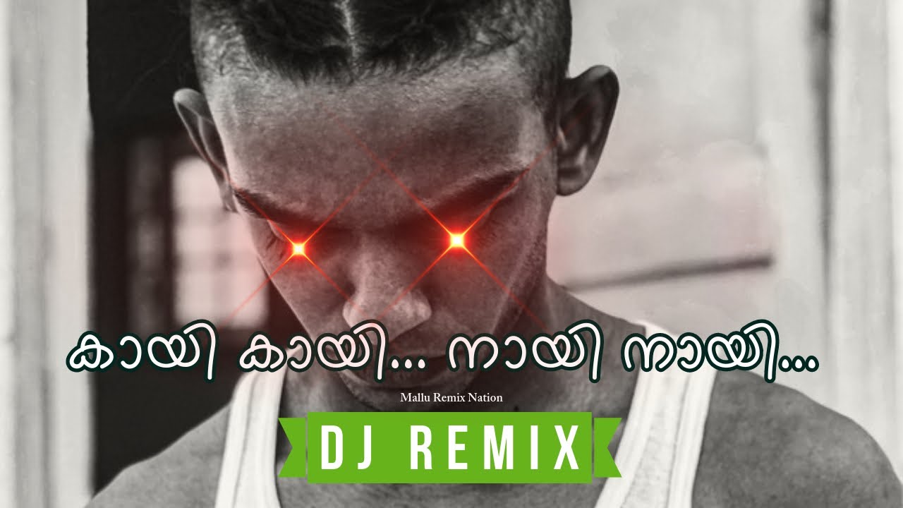 Kaayi Naayi - Baby Jean (DJ ProMaxX Remix) • Malayalam Remix 2024 - YouTube