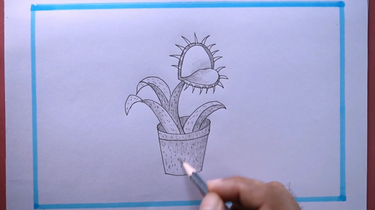 how to draw easy Venus Flytrap/Venus Flytrap drawing easy - YouTube